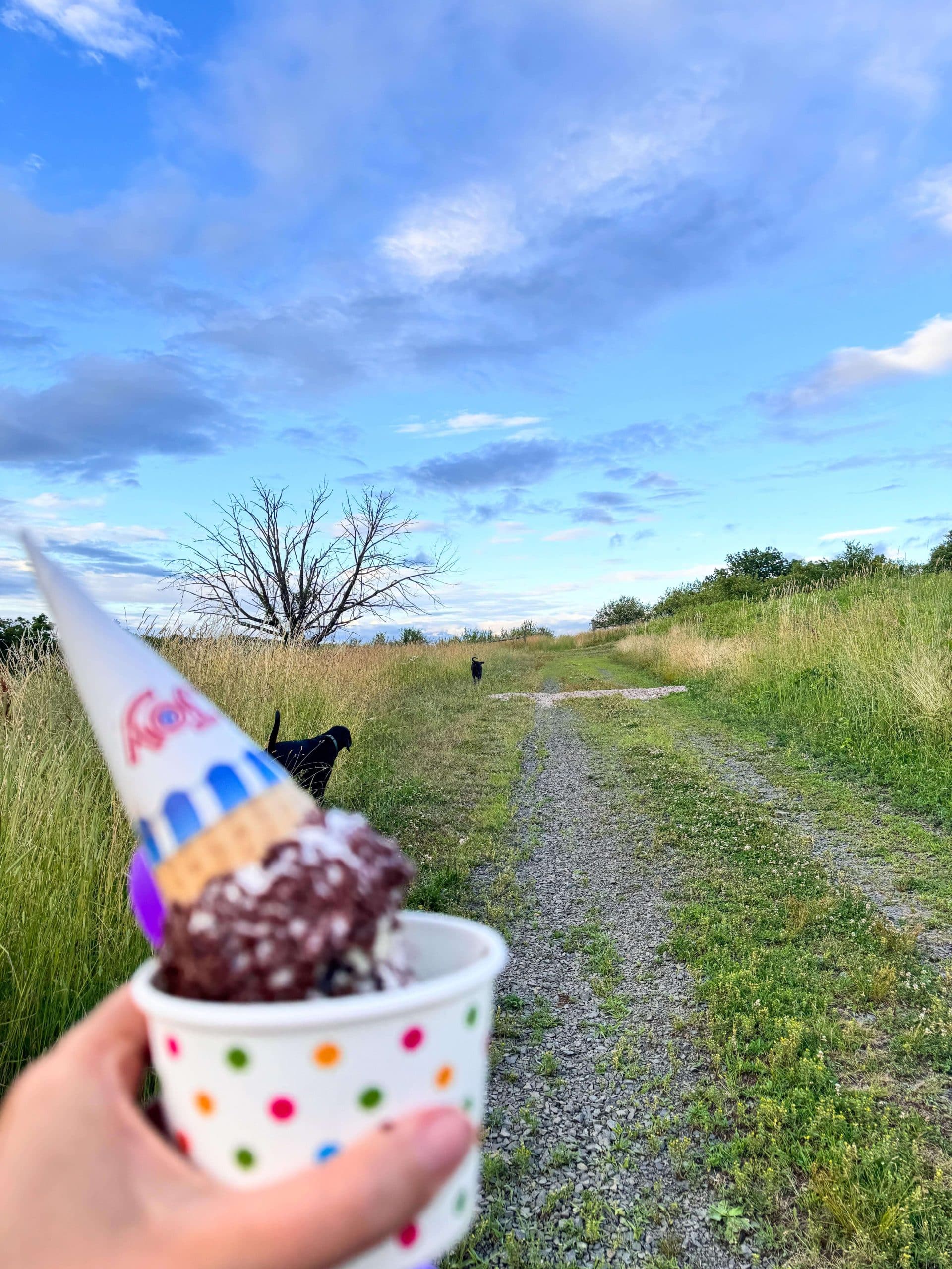 33 Fun Things to Do in CT This Summer (Beyond the Beach!)