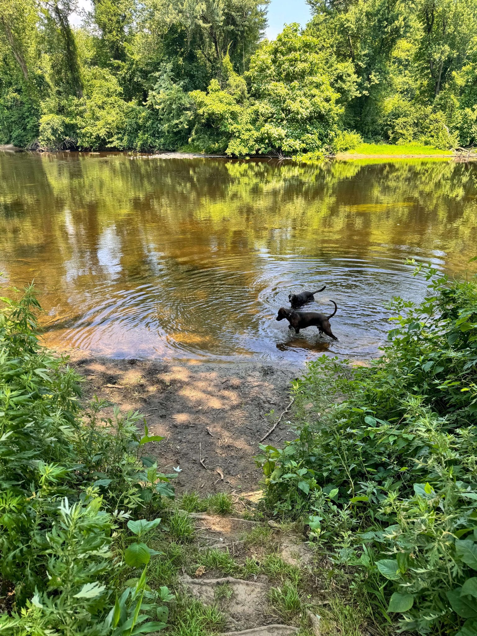 33 Fun Things to Do in CT This Summer (Beyond the Beach!)