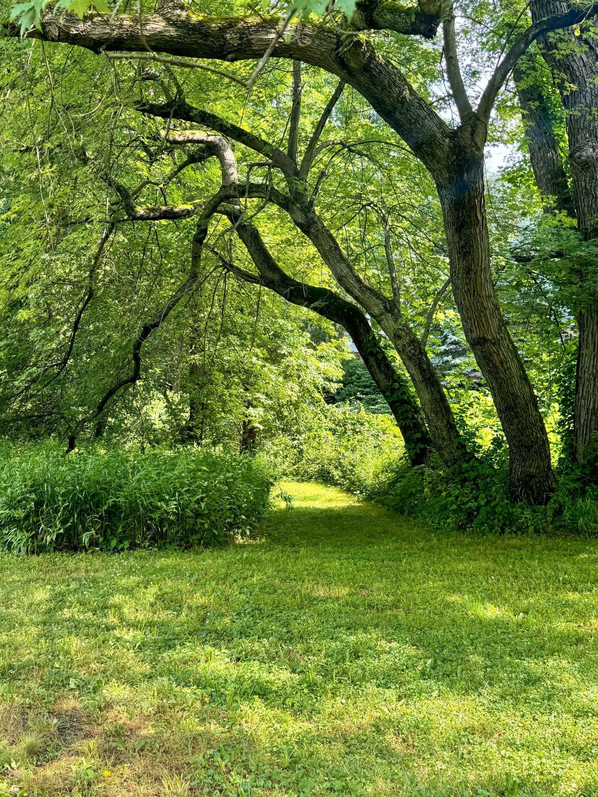 33 Fun Things to Do in CT This Summer (Beyond the Beach!)