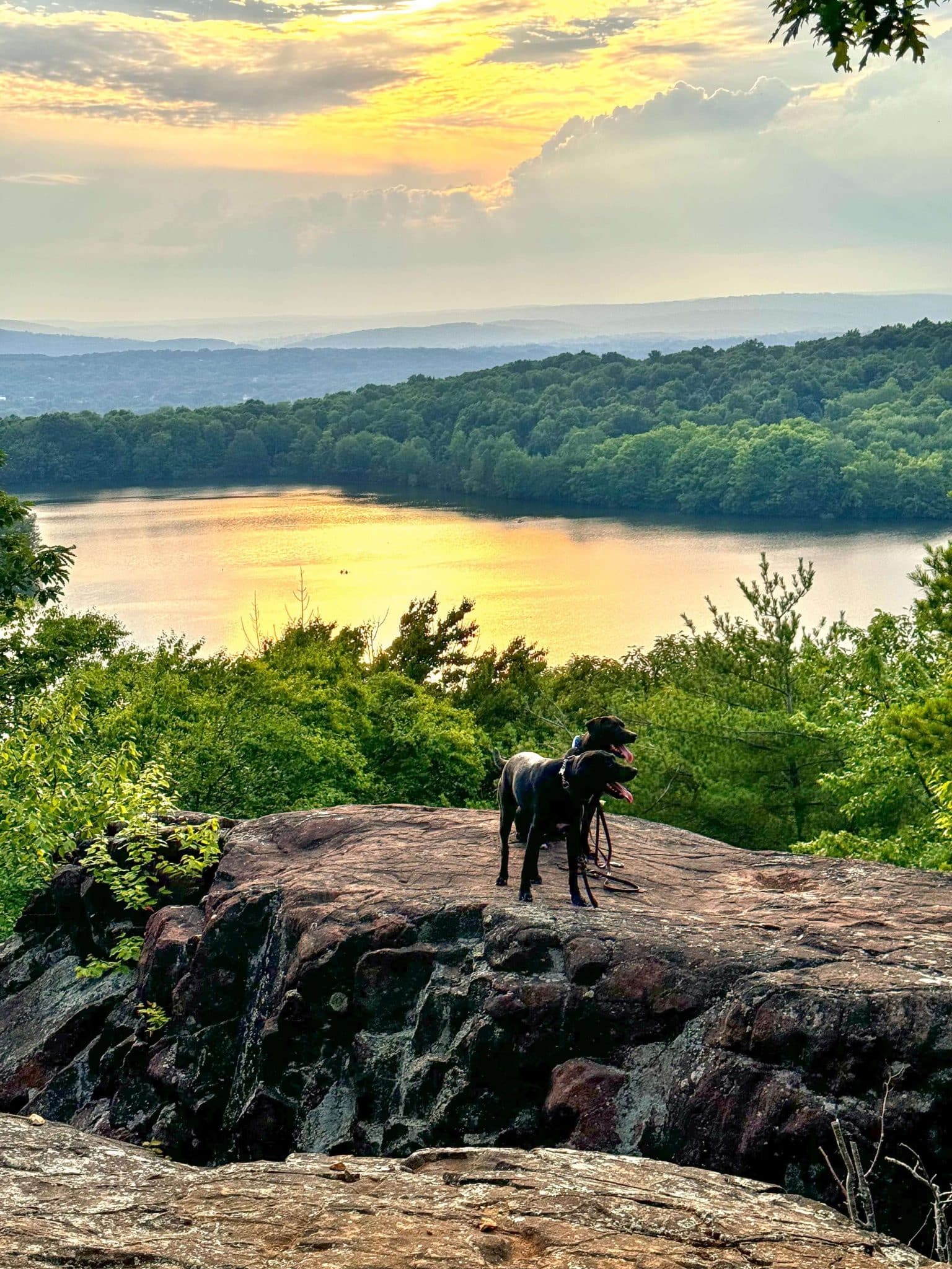 Trail Guide: Sunset Rock State Park at Crescent Lake, CT