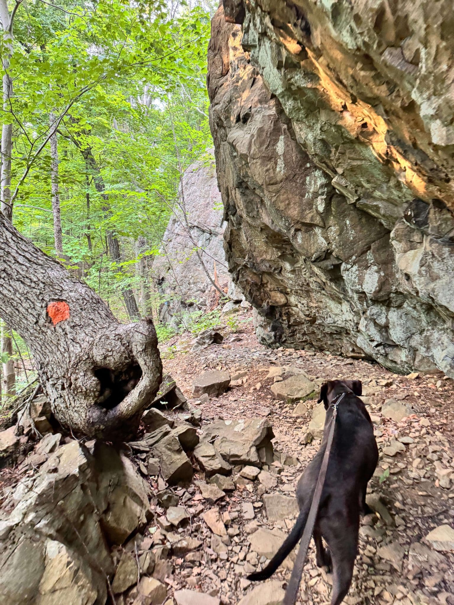 Trail Guide: Sunset Rock State Park at Crescent Lake, CT