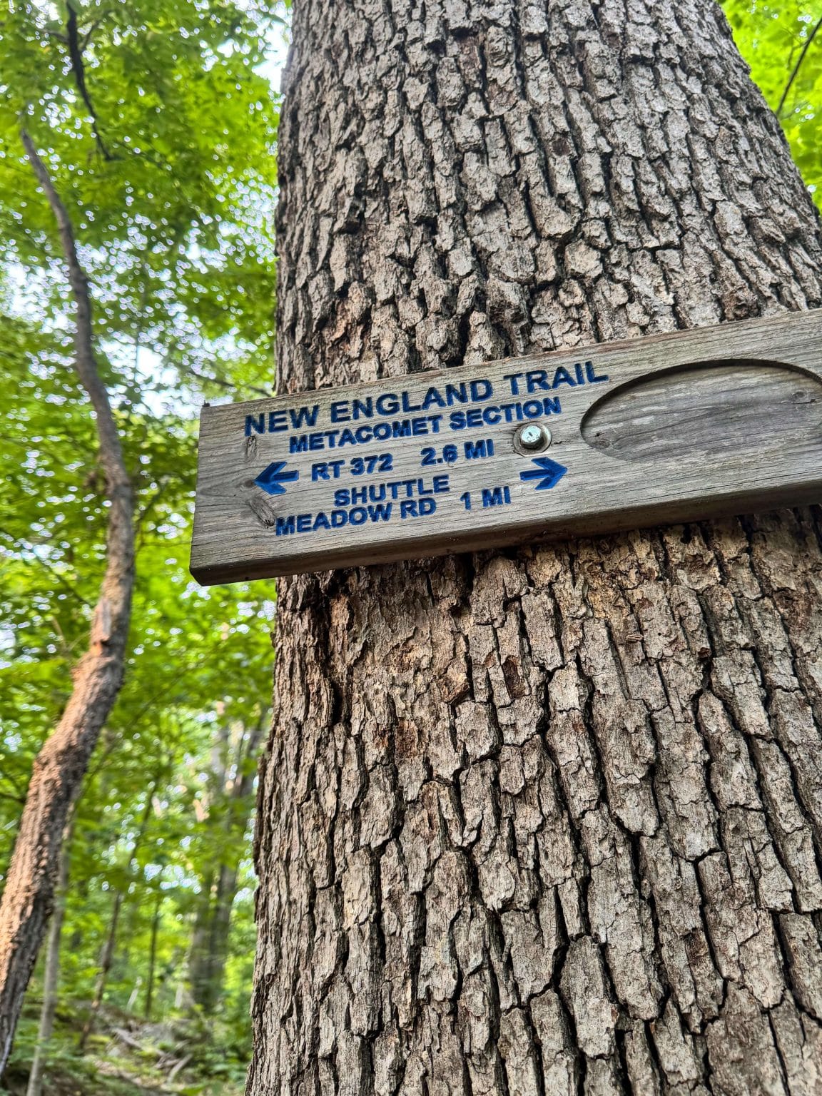 Trail Guide: Sunset Rock State Park at Crescent Lake, CT