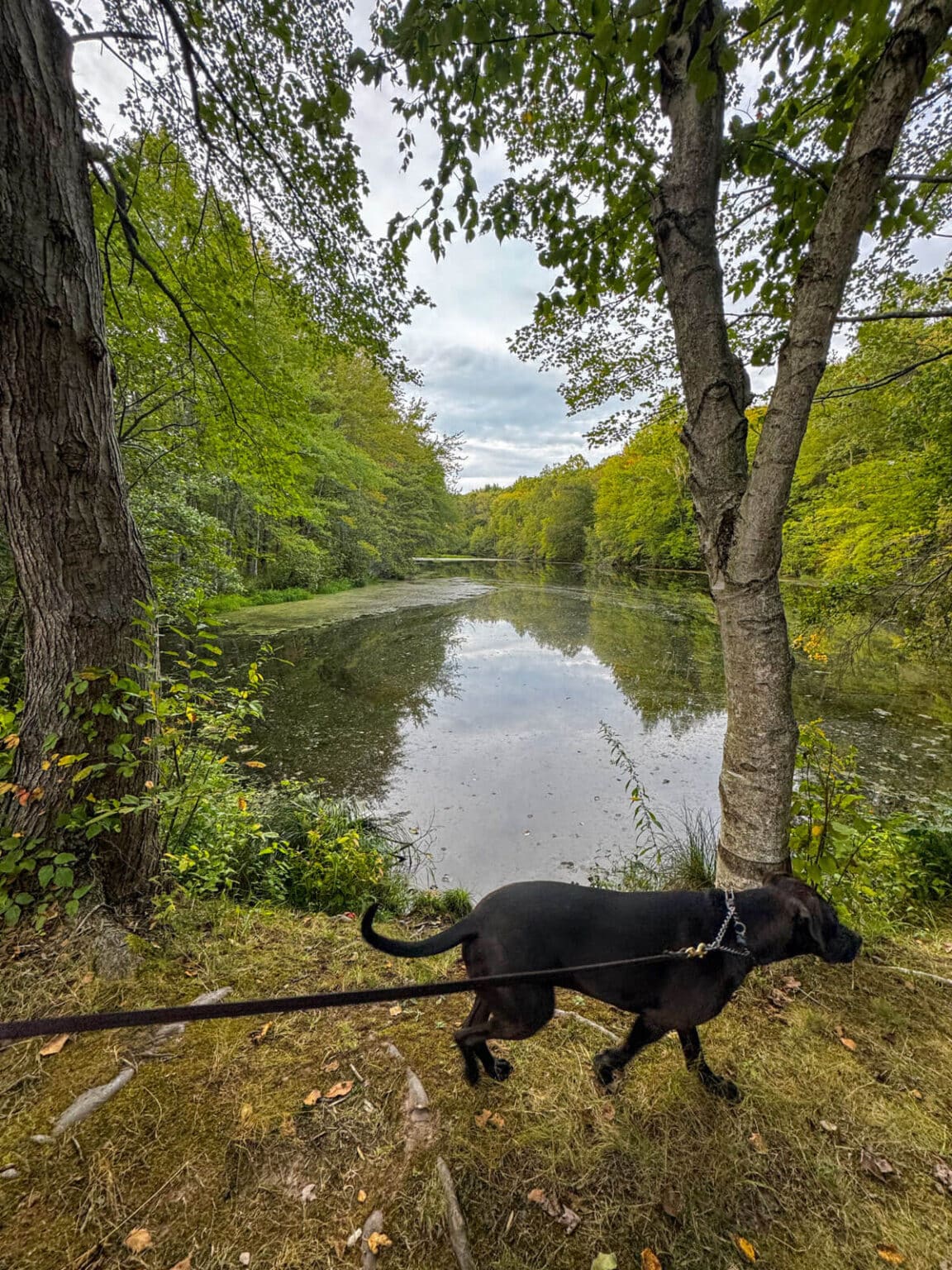 14 Picturesque Farm Trails to Walk in Connecticut