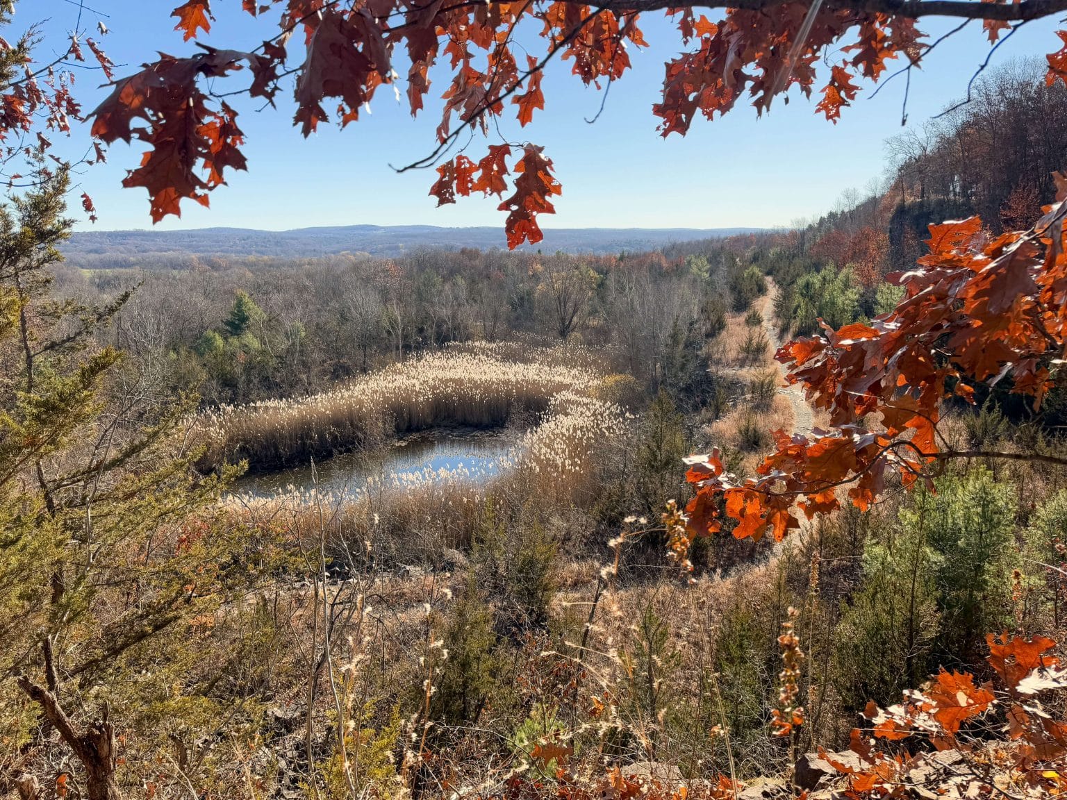 8 Amazing Hot Chocolates in Connecticut with Nearby Hikes
