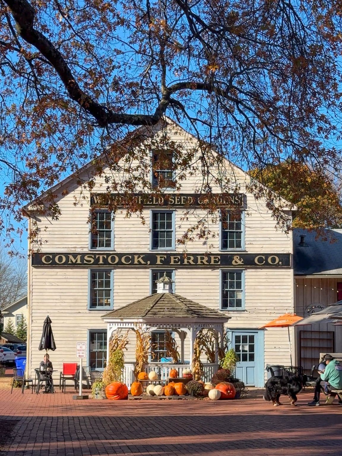 8 Amazing Hot Chocolates in Connecticut with Nearby Hikes