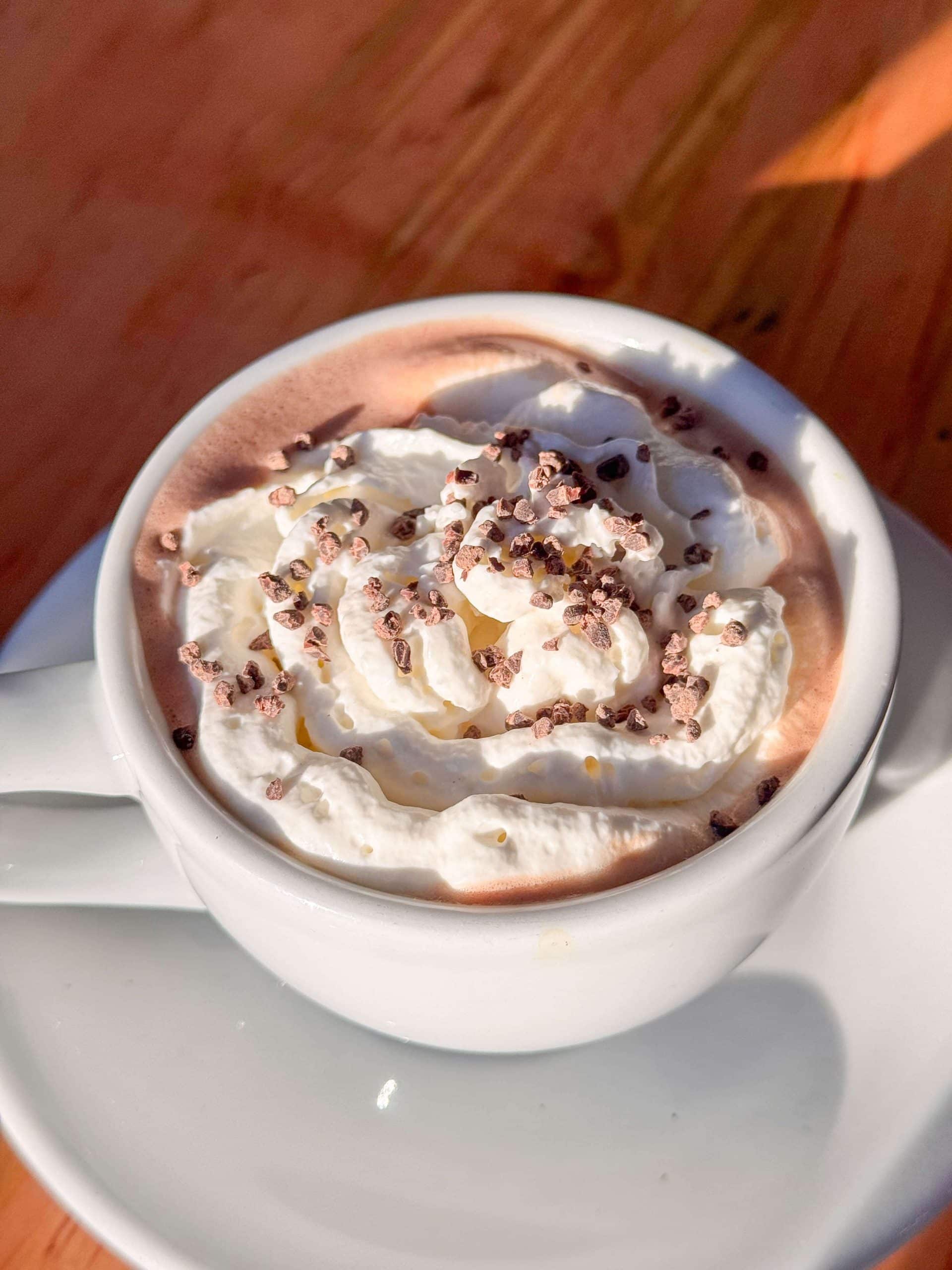 8 Amazing Hot Chocolates in Connecticut with Nearby Hikes