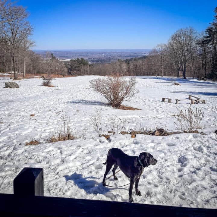 Perfect Day Trip to Monson, MA; Hikes, Cafe, Museum, & More!
