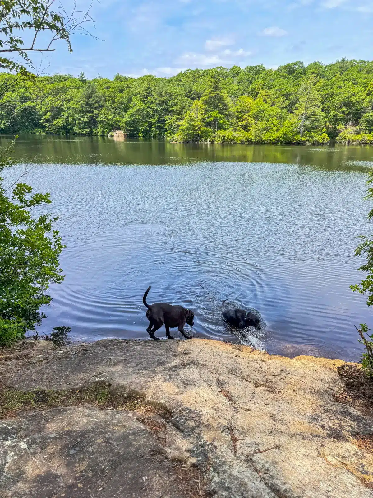 Top 10 Hikes Near Boston (Within 1 Hour); Lookouts & Lakes!