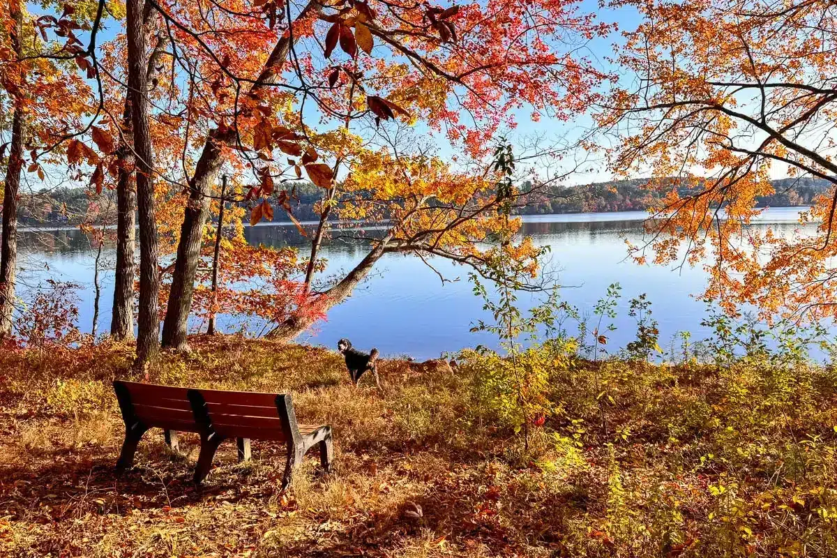 Top 10 Hikes Near Boston (Within 1 Hour); Lookouts & Lakes!