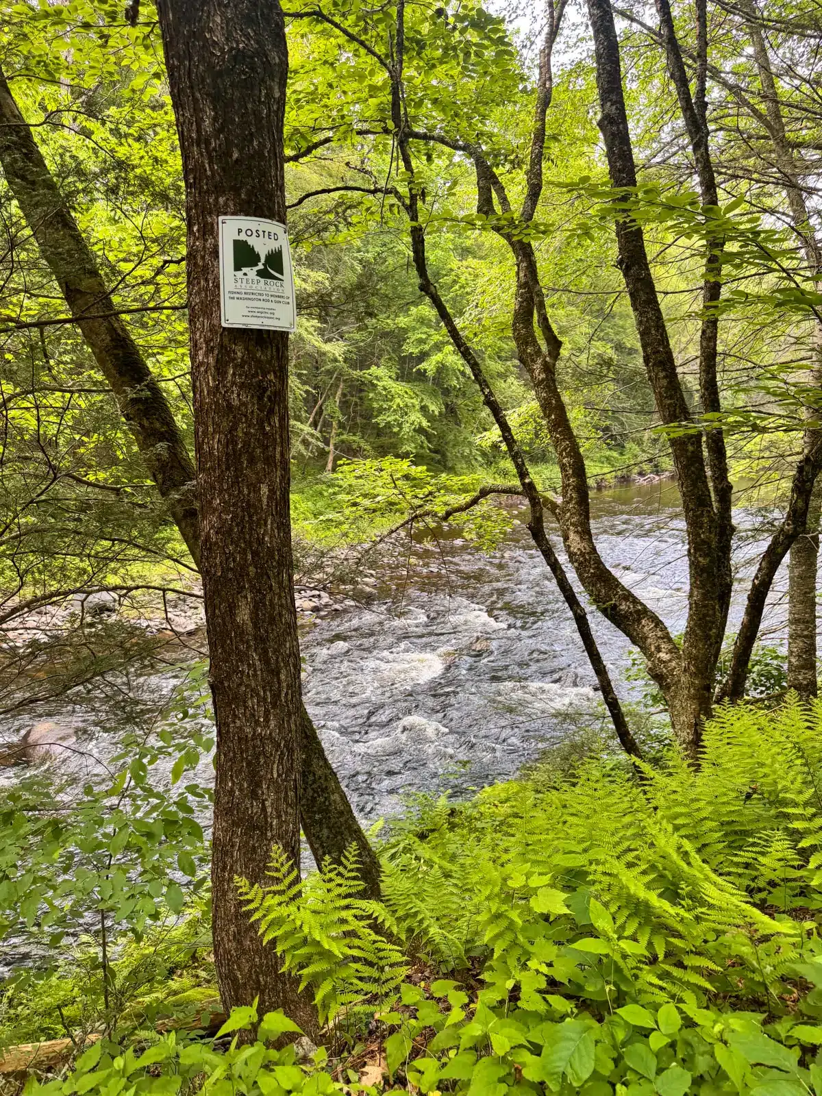 Day Trip to Washington Depot; Hikes, Cafes, & Shops!